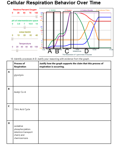 Solved Cellular Respiration Behavior Over Time Relative | Chegg.com