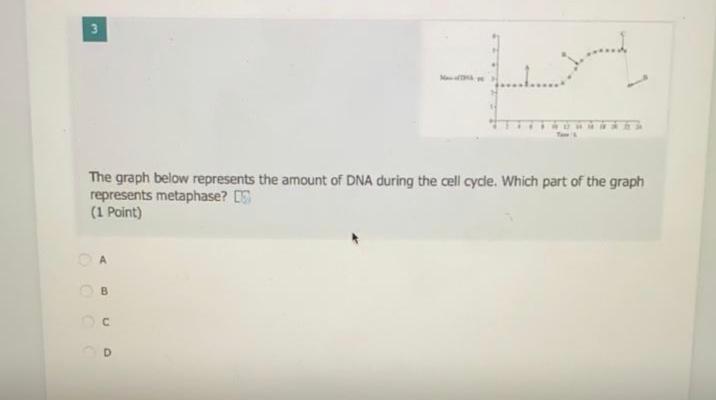 Solved The graph below represents the amount of DNA during | Chegg.com