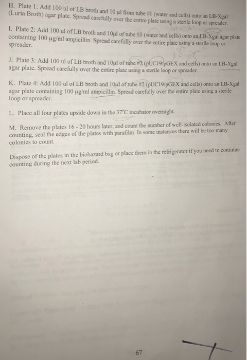 Solved Competent Cells: (DH5a strain) The Escherichia coli | Chegg.com