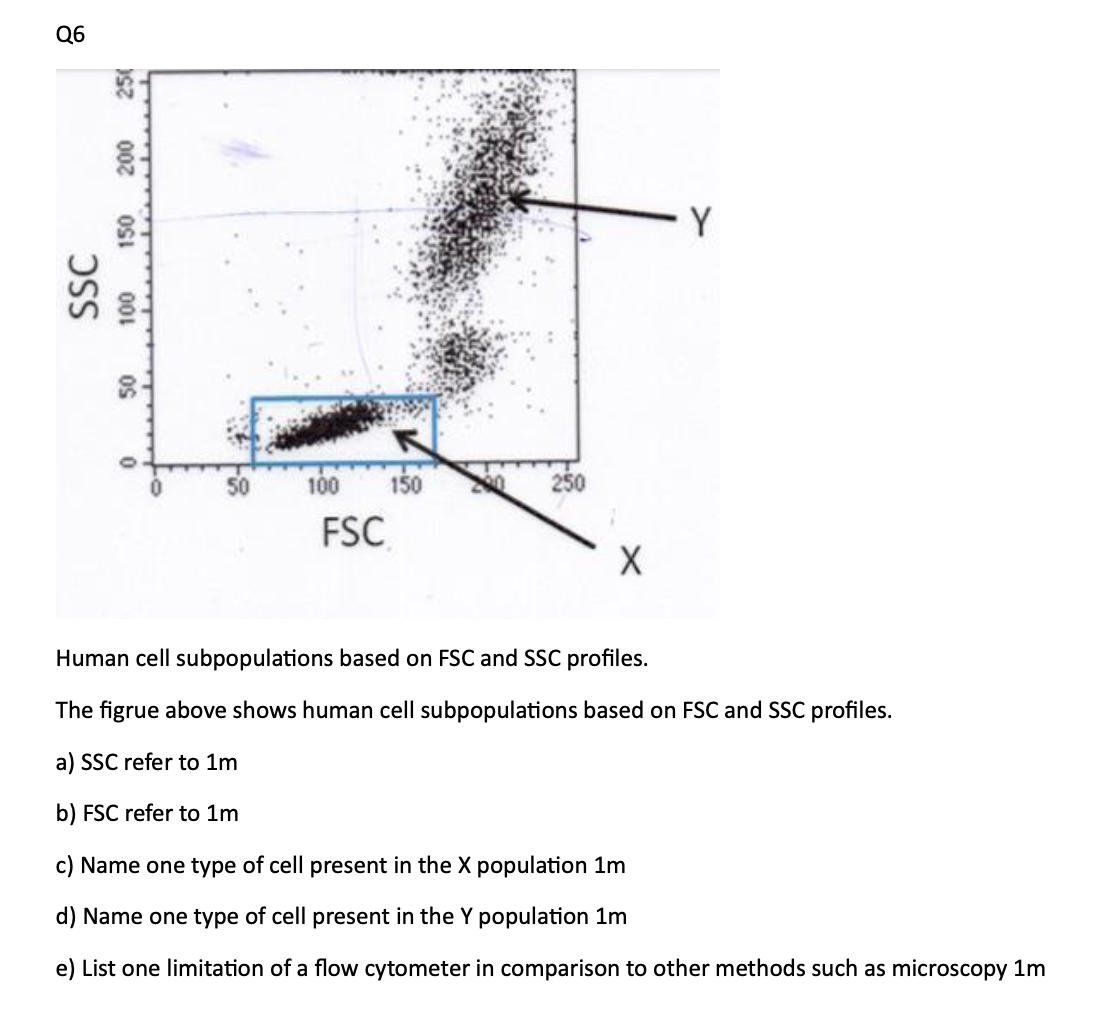 Solved Human cell subpopulations based on FSC and SSC | Chegg.com