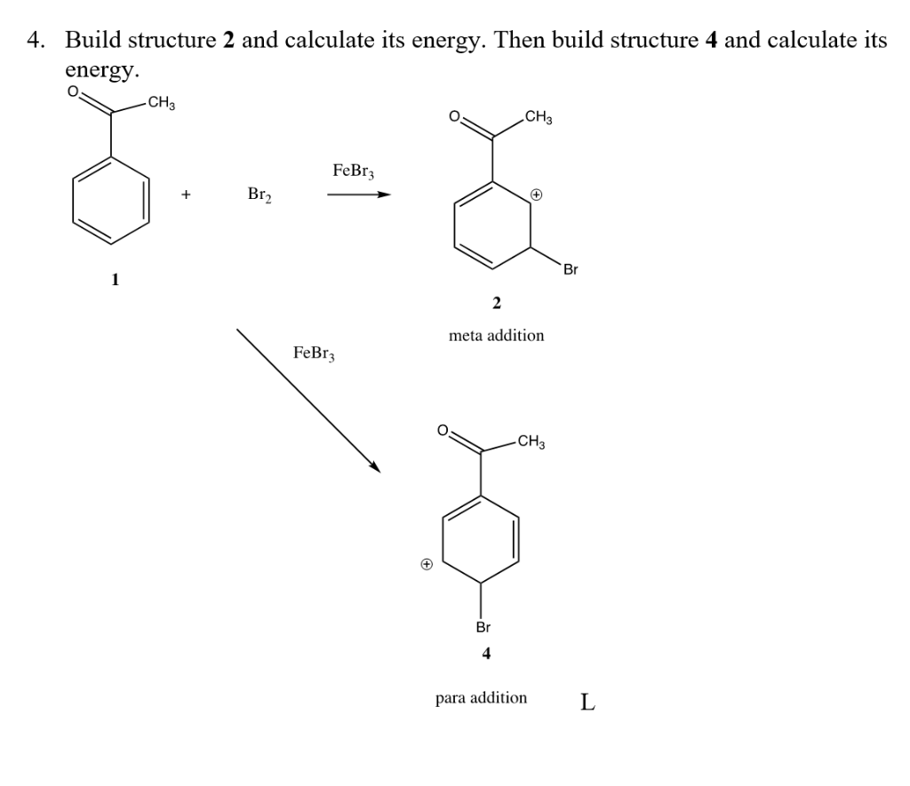 Solved Which intermediate is more stable? Draw two | Chegg.com
