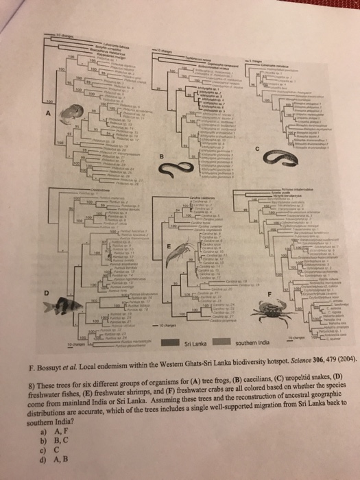 Solved Tree thinking quiz D. A. Baum, S. D. Smith, and S. D. | Chegg.com
