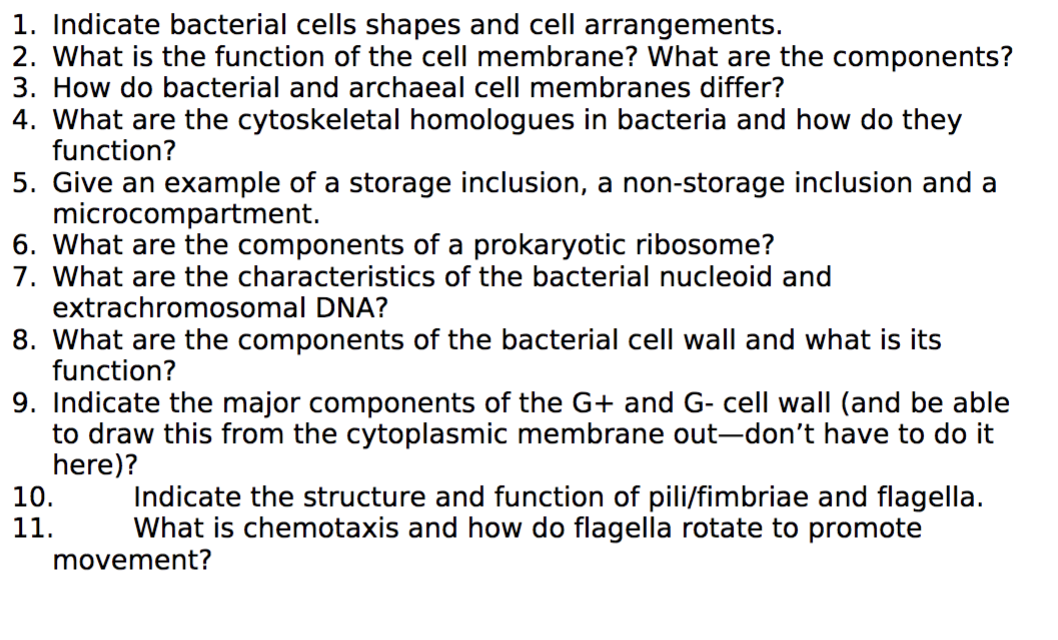 Solved 1. Indicate bacterial cells shapes and cell | Chegg.com