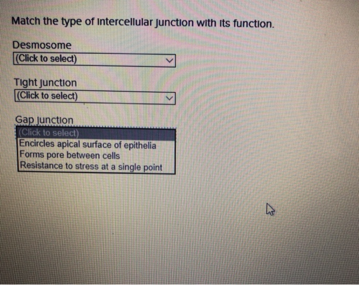 Solved Match the type of intercellular junction with its | Chegg.com
