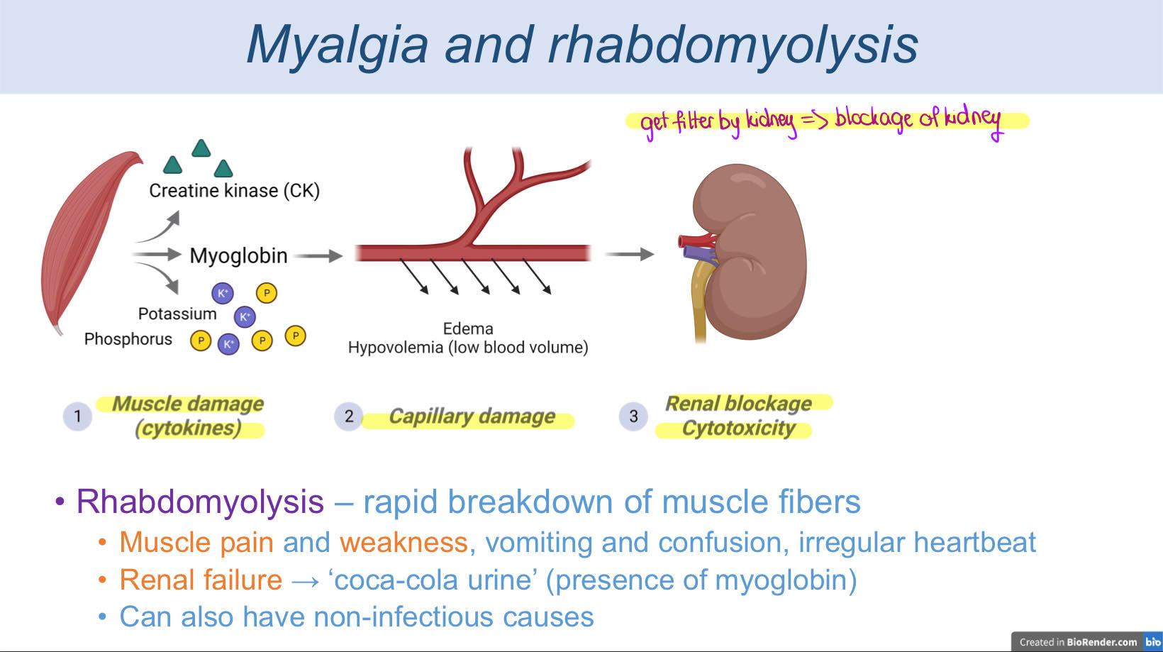 Solved I don't quite understand this side. Can someone help | Chegg.com