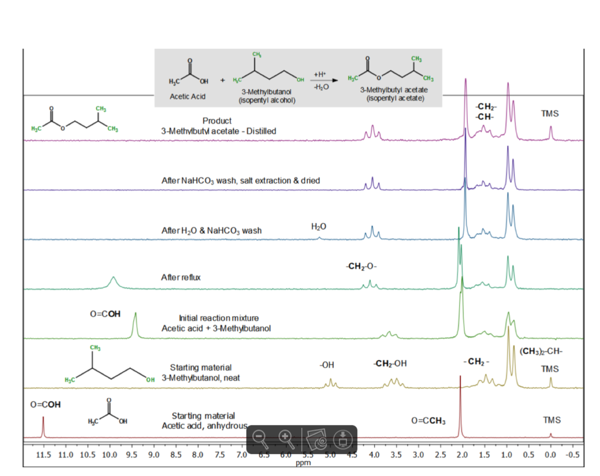CH nela love +H + HO H2O H3C CH 3-Methylbutyl acetate | Chegg.com