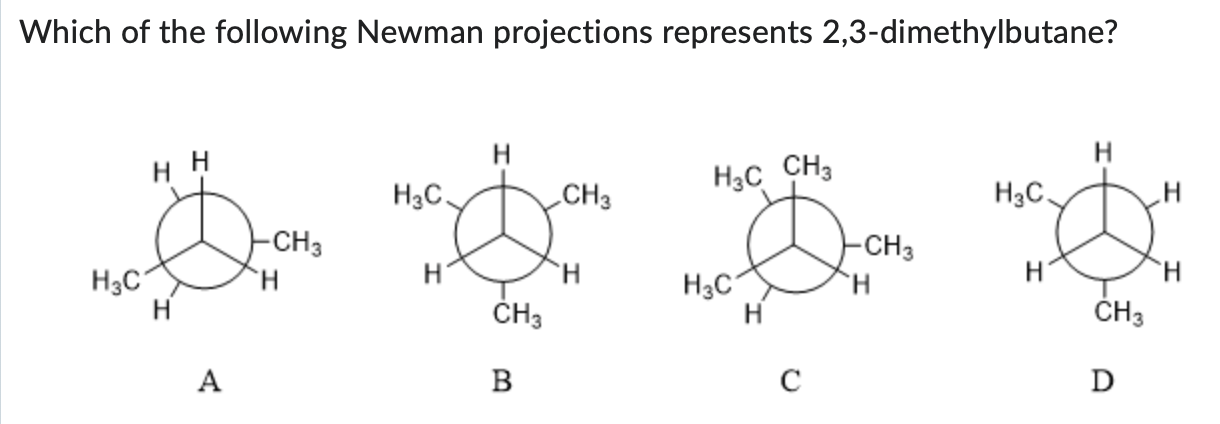 Solved Which of the following Newman projections represents | Chegg.com