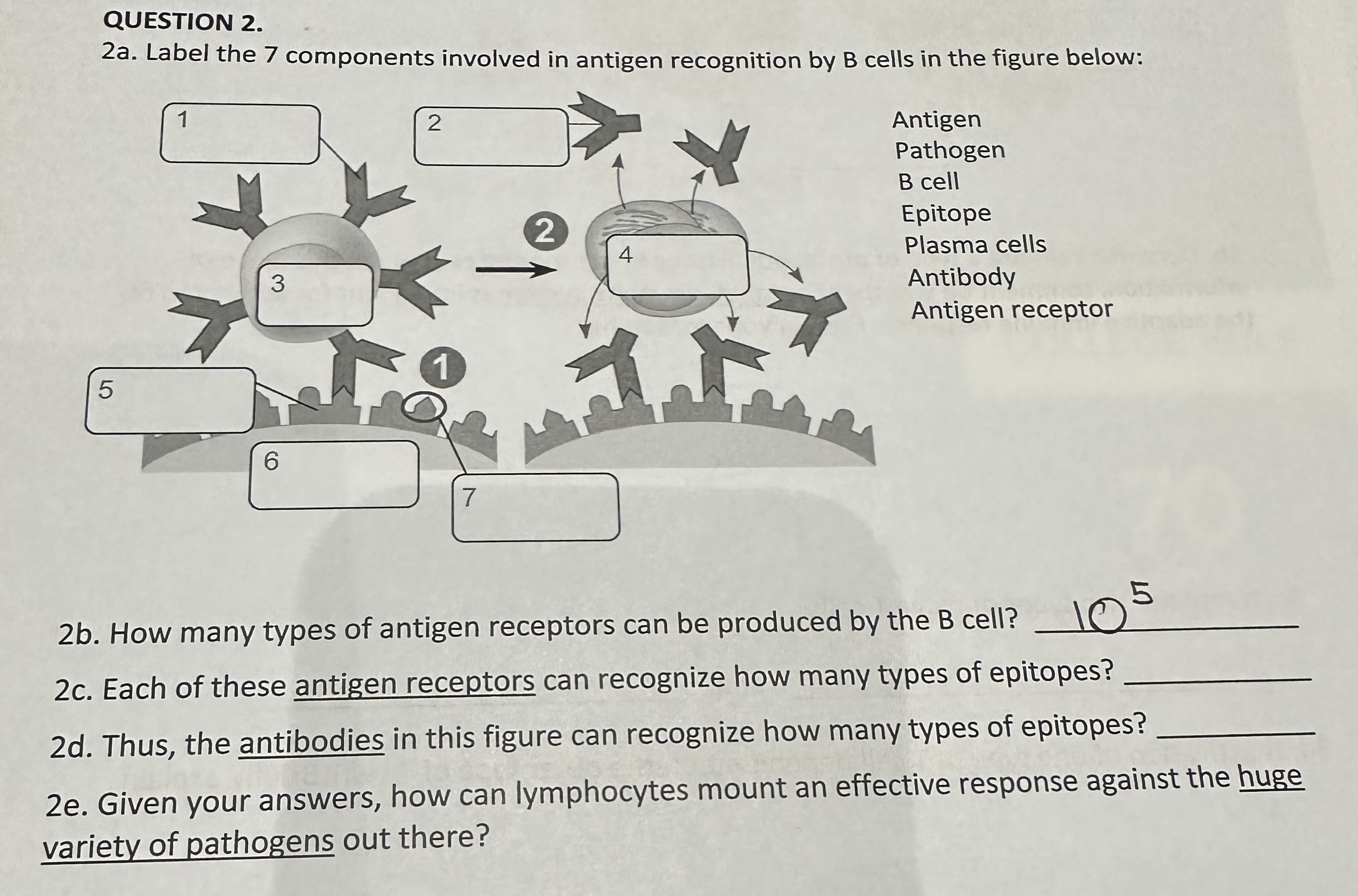 QUESTION 2. 2a. Label the 7 components involved in | Chegg.com