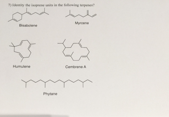 Solved 7) Identity the isoprene units in the following | Chegg.com