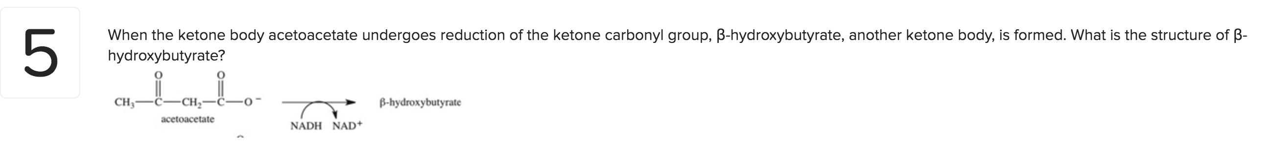 Solved 5 When the ketone body acetoacetate undergoes | Chegg.com