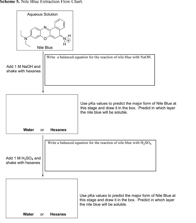 Solved Scheme 5. Nile Blue Extraction Flow Chart. | Chegg.com