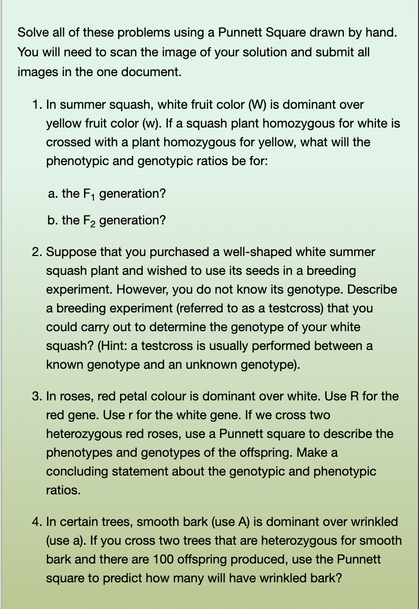 Solved Solve all of these problems using a Punnett Square | Chegg.com