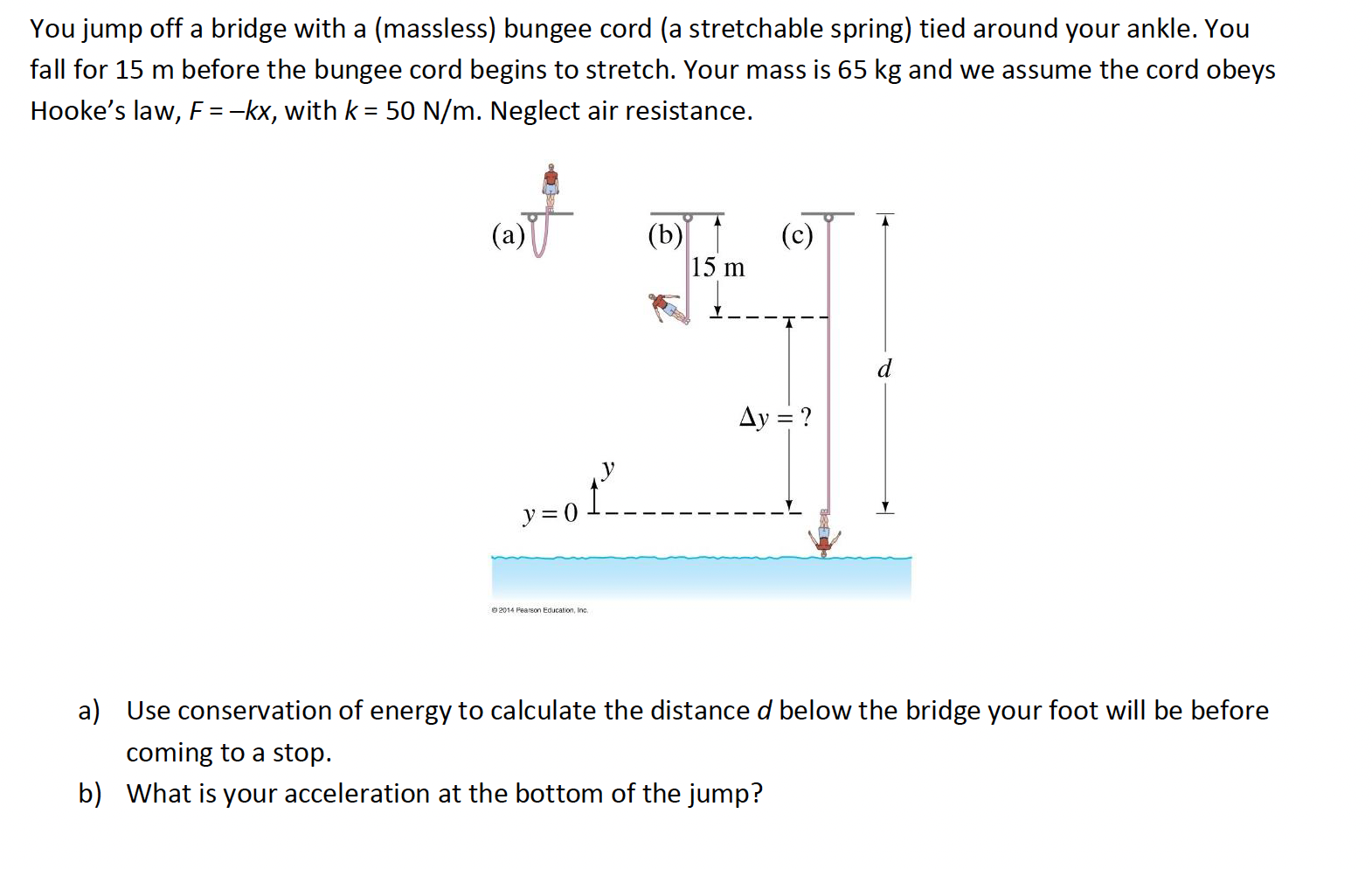 Solved You jump off a bridge with a (massless) ﻿bungee cord | Chegg.com