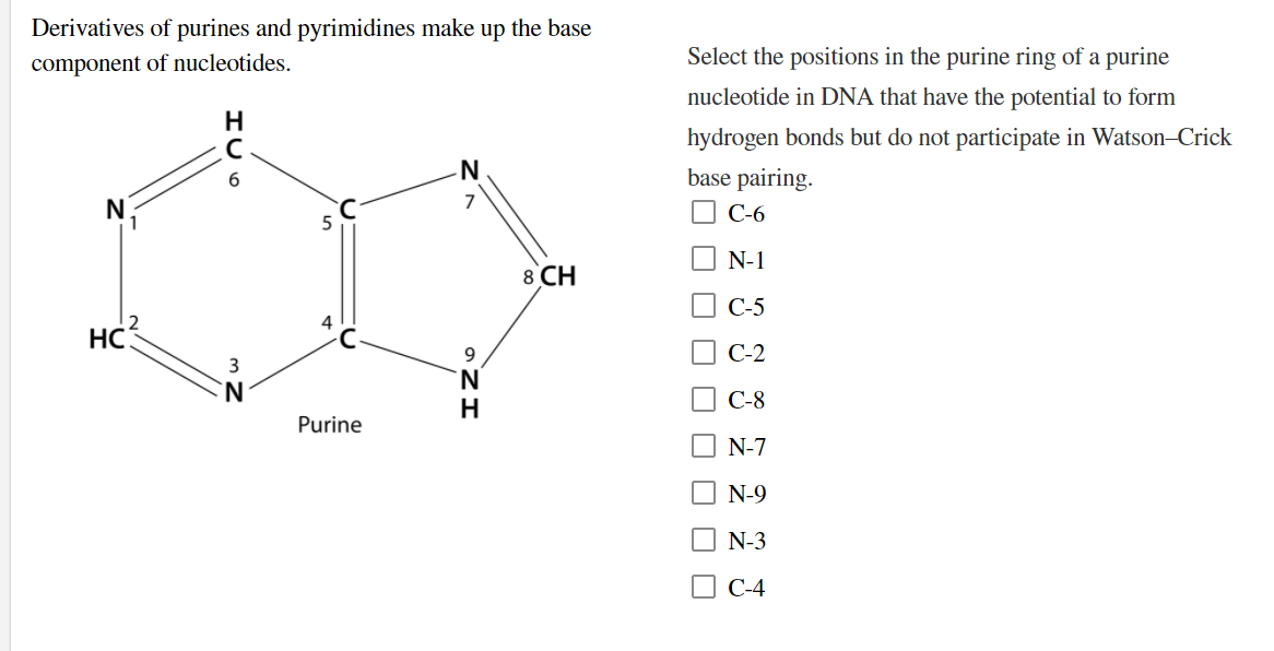 Solved Derivatives of purines and pyrimidines make up the | Chegg.com