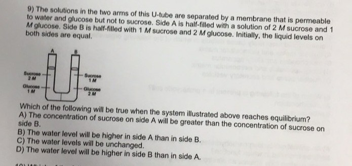 Solved 9) The solutions in the two arms of this U-tube are | Chegg.com