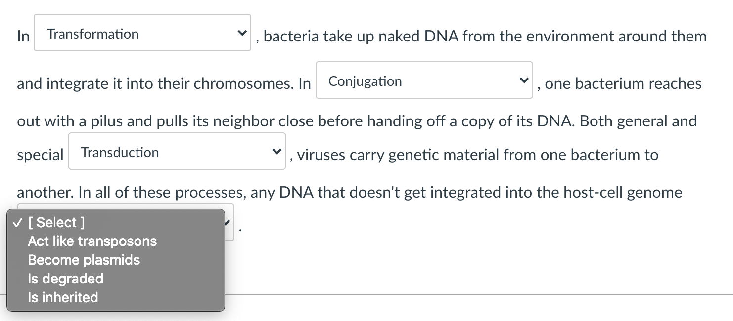 Solved Match the enzyme to its function. SSB Protein RecA | Chegg.com