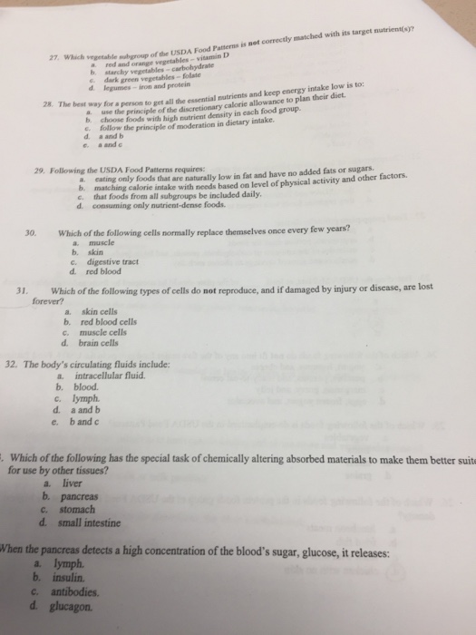 Solved Which vegetable subgroup of the USDA Food patterns is | Chegg.com