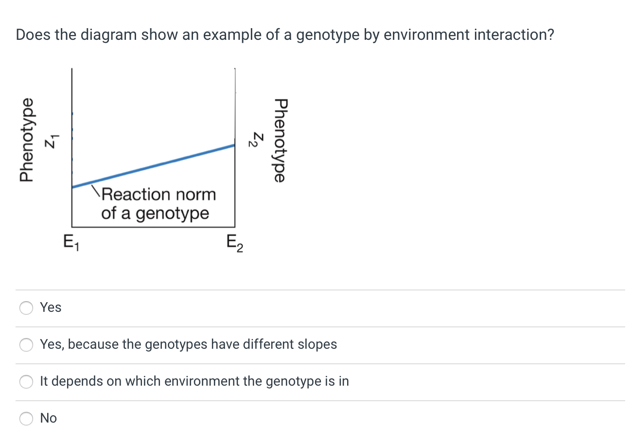 Solved Does the diagram show an example of a genotype by | Chegg.com