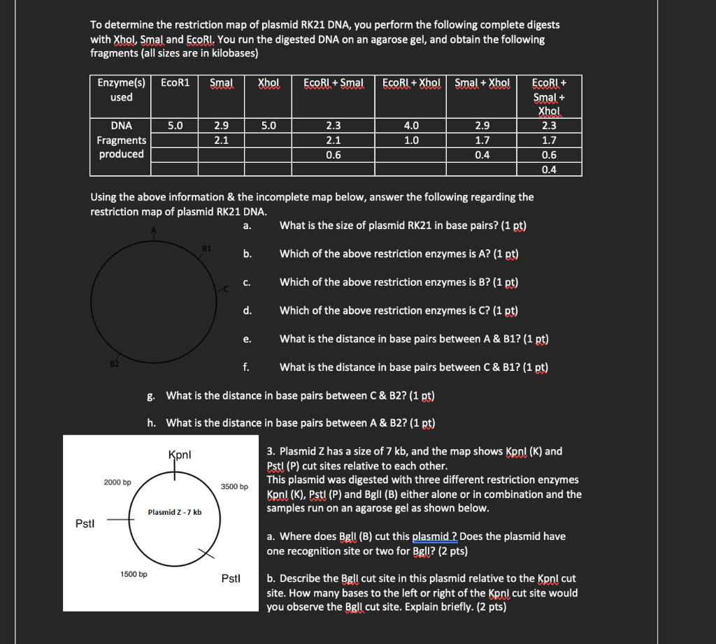 Solved To determine the restriction map of plasmid RK21 DNA, | Chegg.com