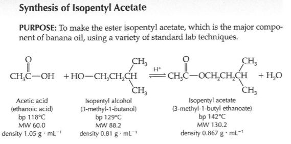Ethanoic Acid 3 Methyl 1 Butanol