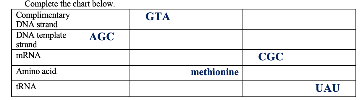 Solved GTA Complete the chart below. Complimentary DNA | Chegg.com