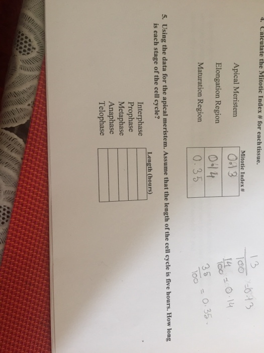 calculate the Mitotic Index # for each tissue. 1 2 | Chegg.com
