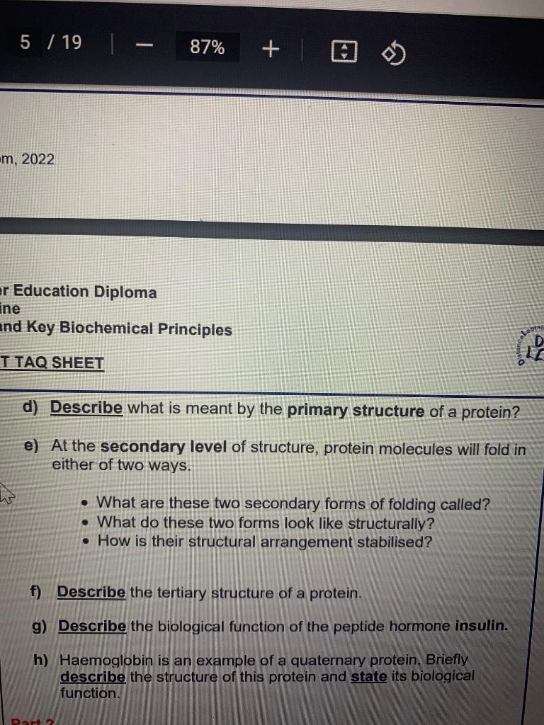 Solved Education Diploma Key Biochemical Principles T TAQ | Chegg.com