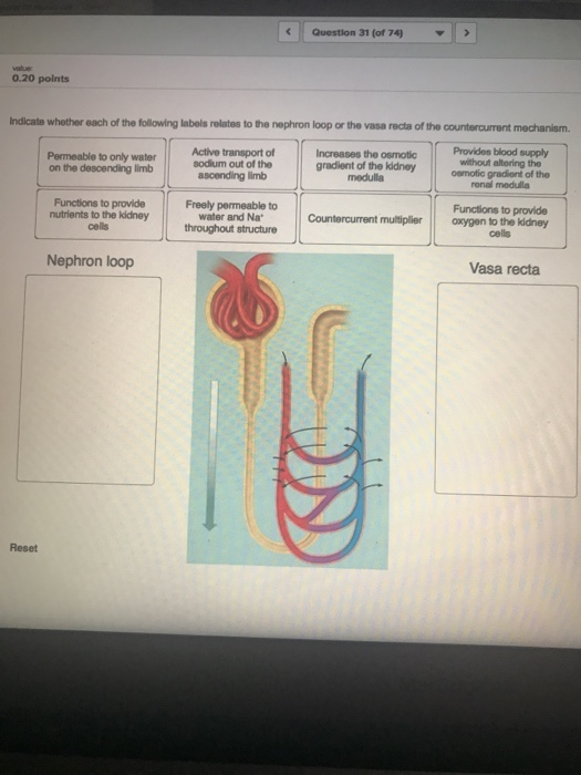 Anatomy And Physiology Archive | October 27, 2017 | Chegg.com