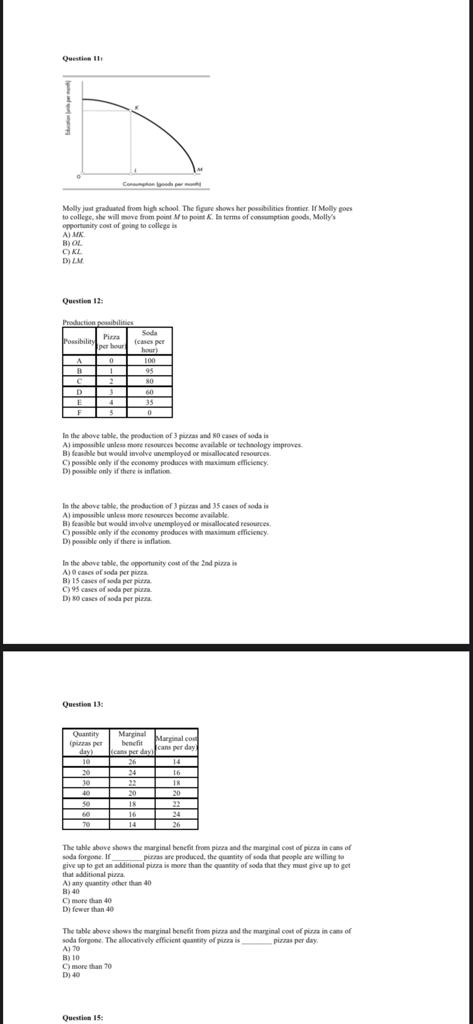 Solved The Economic Problem / Exercises ECON 101 Question it | Chegg.com