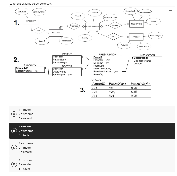Solved 1 - IIIUueI 2 = schema 3 = record 1= model 2= schema | Chegg.com