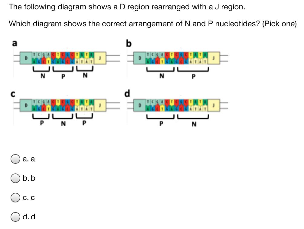 Solved The following diagram shows a D region rearranged | Chegg.com