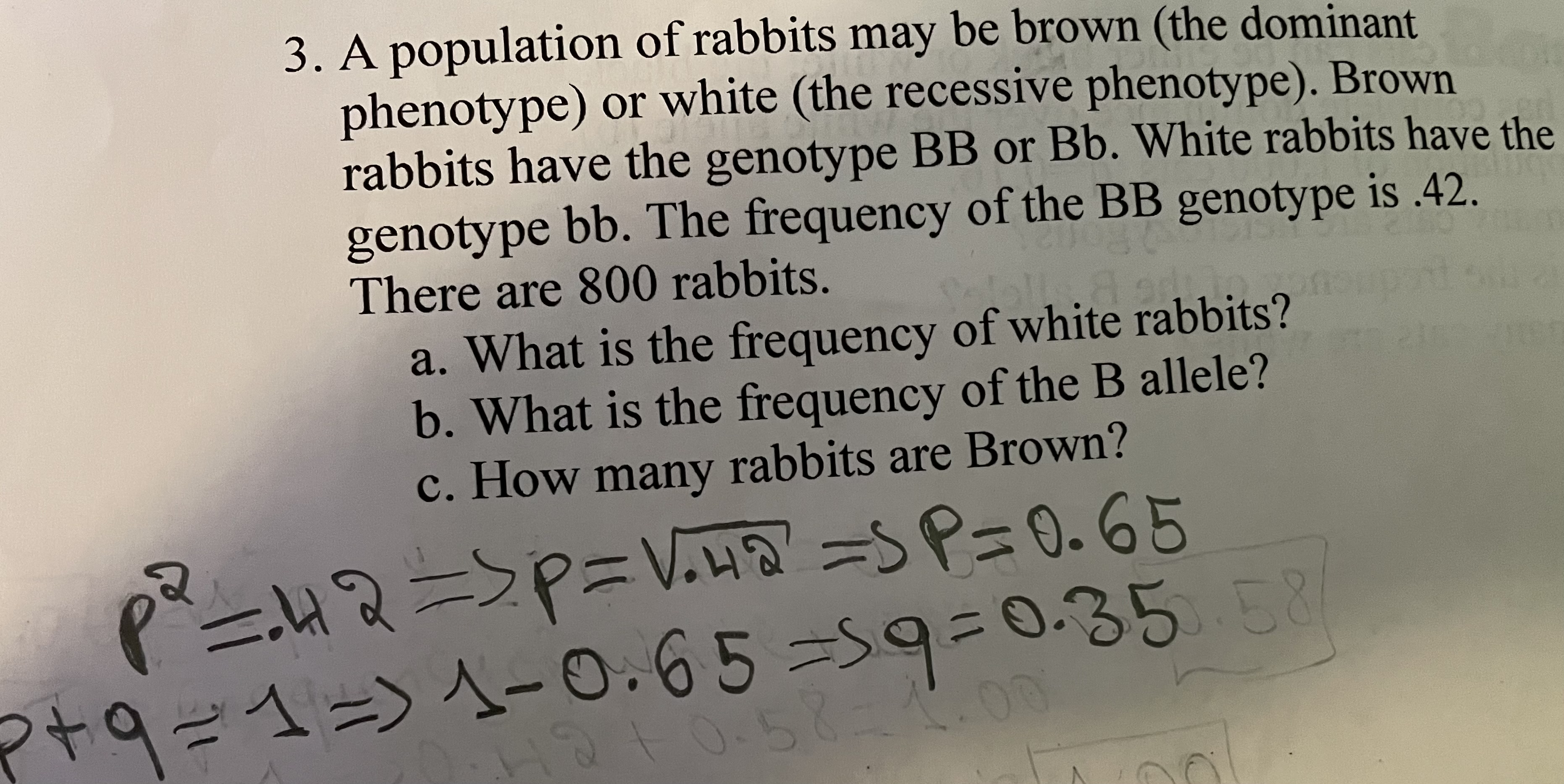 3. A population of rabbits may be brown (the dominant | Chegg.com