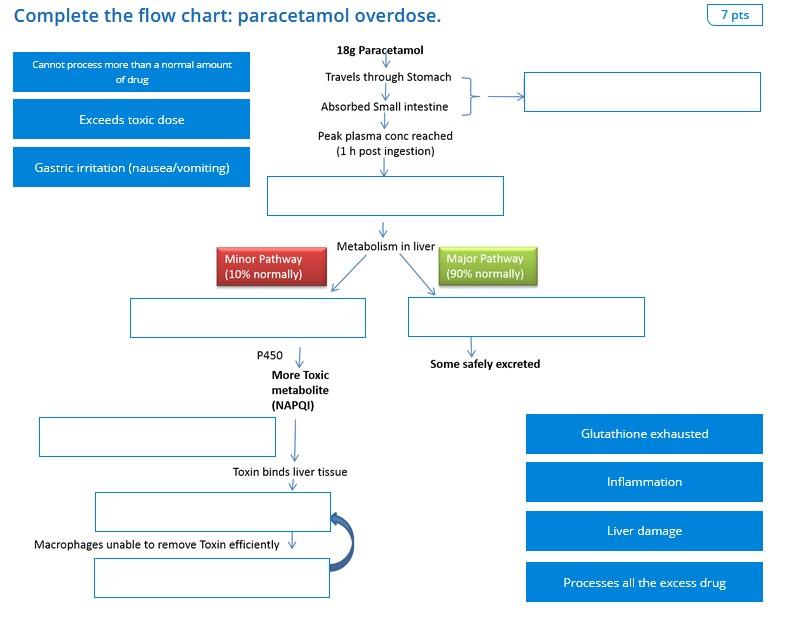 Solved 7 pts Complete the flow chart: paracetamol overdose. | Chegg.com