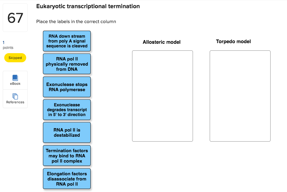 Solved Eukaryotic transcriptional termination Place the | Chegg.com