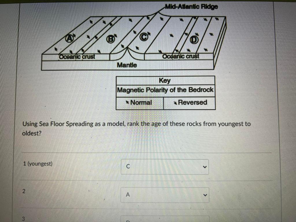 Solved Using Sea Floor Spreading as a model, rank the age of | Chegg.com