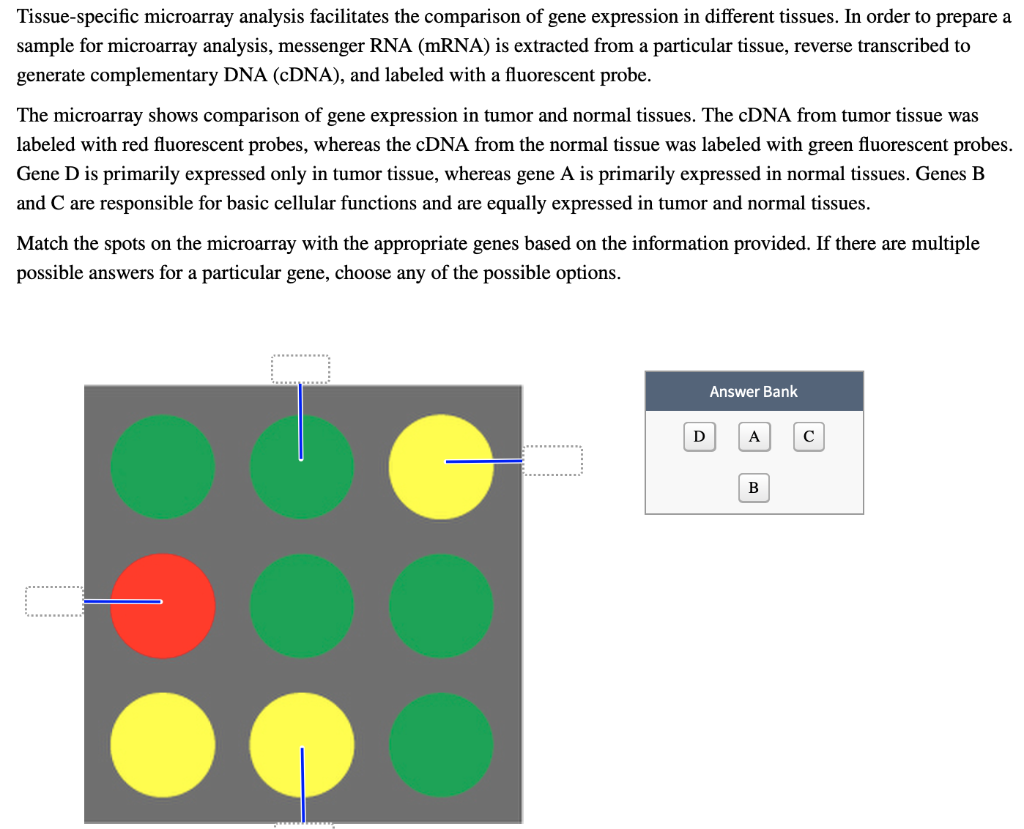 Solved Tissue-specific microarray analysis facilitates the | Chegg.com
