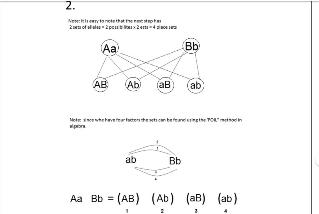 Solved img. Gamete Selection 1 Given: The parent cell has | Chegg.com