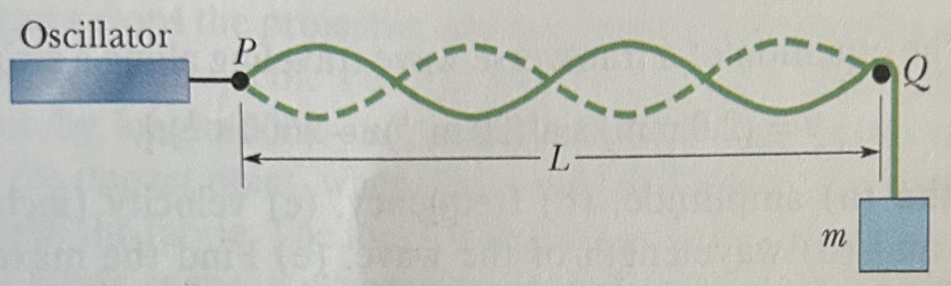 Solved In Fig. 16-42, a string, tied to a sinusoidal | Chegg.com