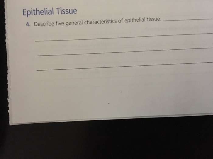 Solved Epithelial Tissue 4. Describe five general | Chegg.com