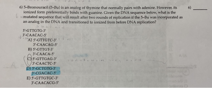 Solved 6) 5-Bromouracil (5-Bu) is an analog of thymine that | Chegg.com