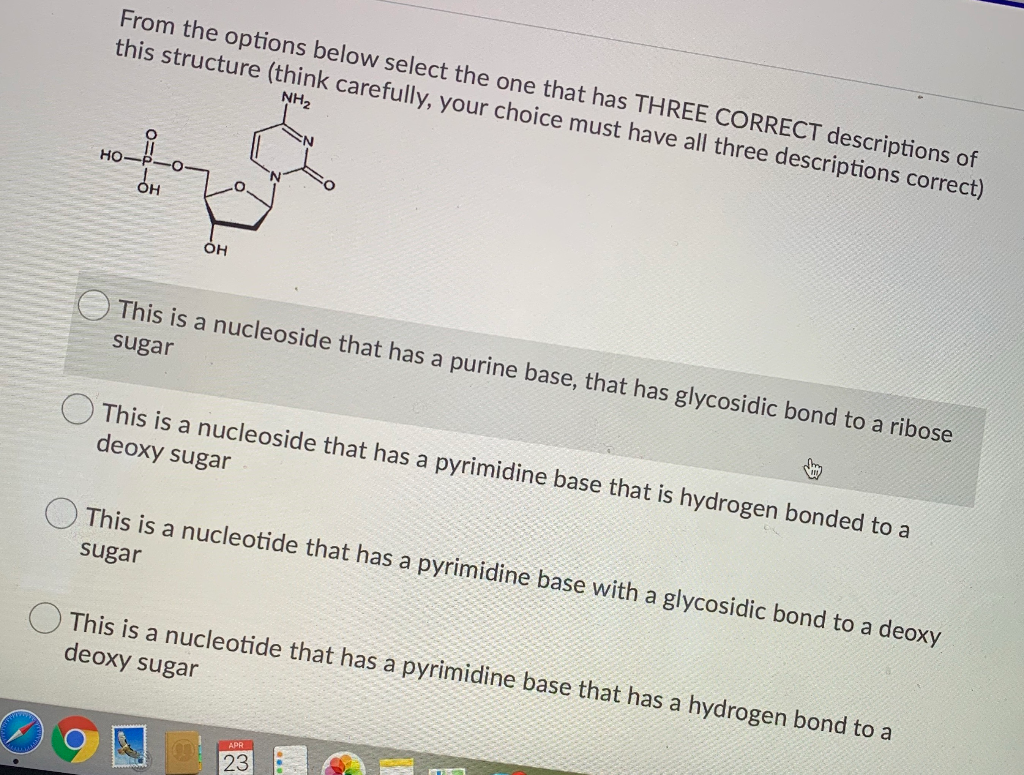 Solved Question 5 (2 points) The informational strand of a | Chegg.com