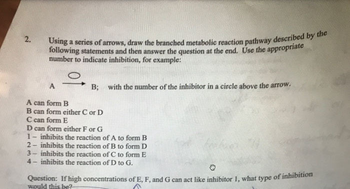 Solved 2. Using a series of arrows, draw the branched | Chegg.com