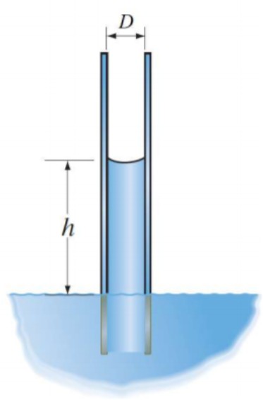 Solved Calculate the capillary rise of water in a glass tube | Chegg.com