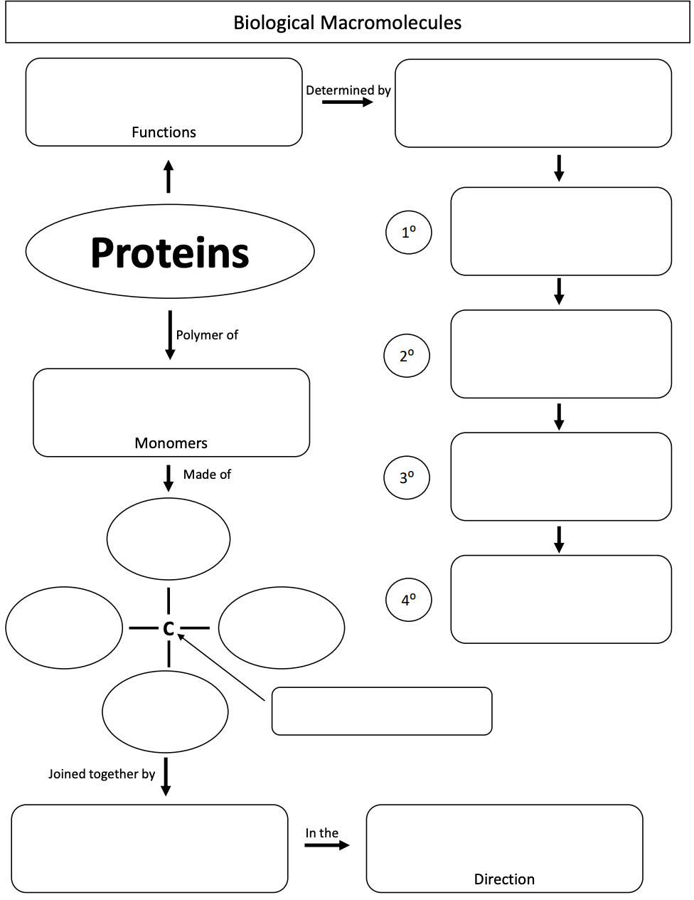 Solved Biological Macromolecules | Chegg.com