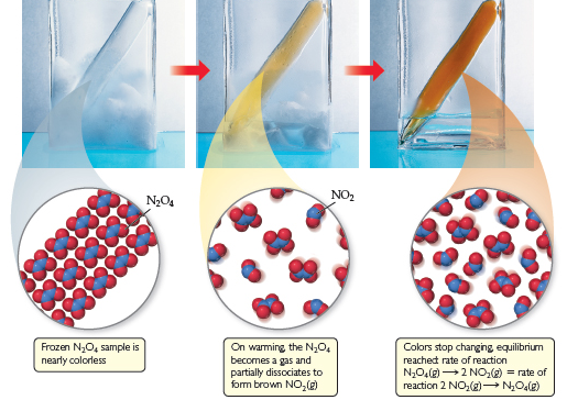 Solved If you were to heat the tube on the right and then | Chegg.com