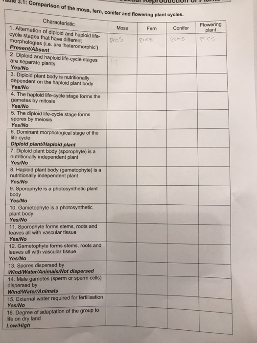 Solved Comparison of the moss, fern, conifer and flowering | Chegg.com