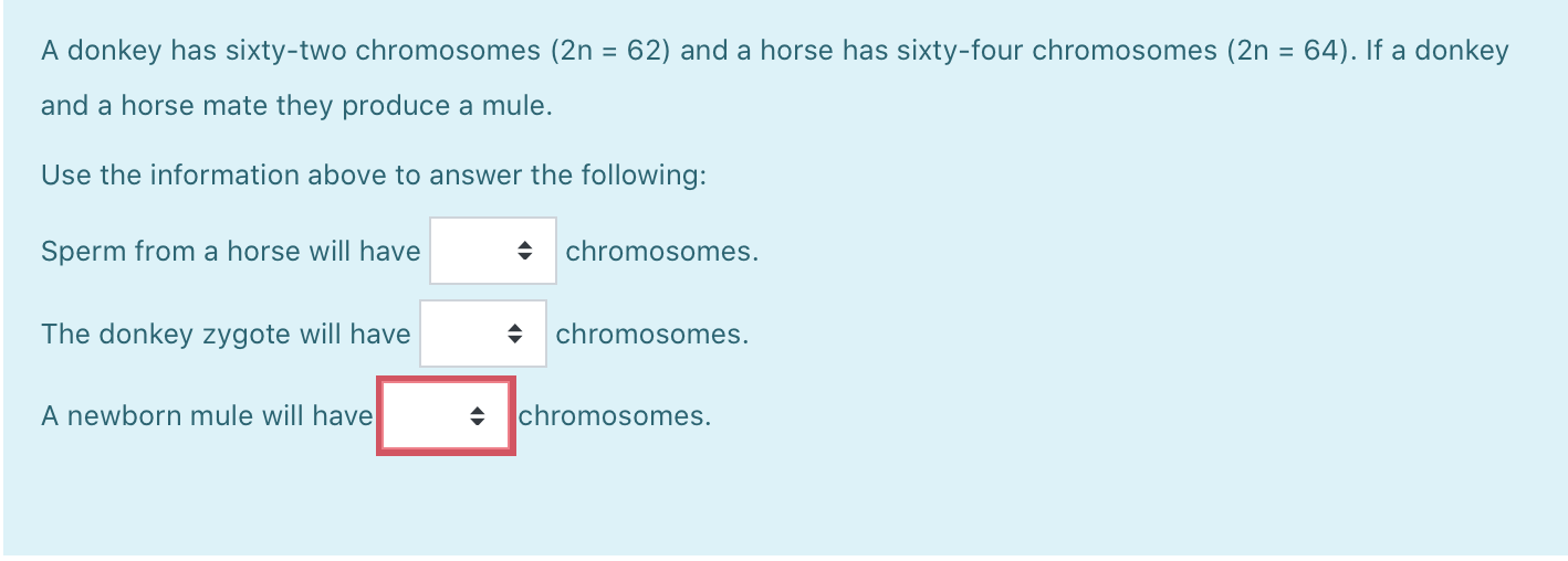 Solved A donkey has sixty-two chromosomes (2n = 62) and a | Chegg.com