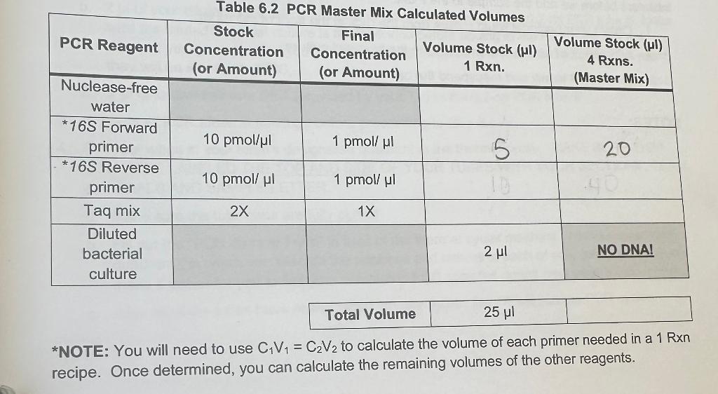 Solved Table 6.2 PCR Master Mix Calculated Valumoc *NOTE: | Chegg.com