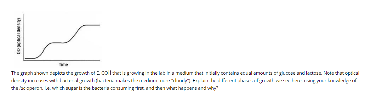 Solved OD (optical density) Time The graph shown depicts the | Chegg.com