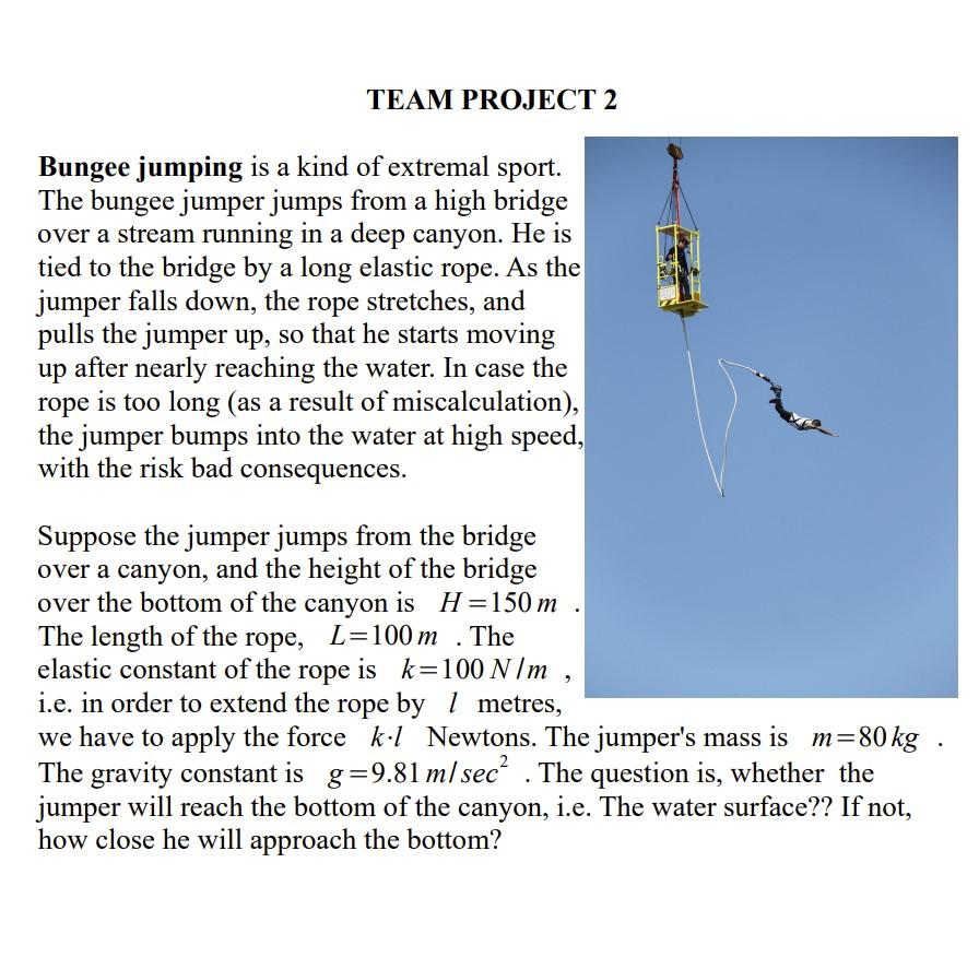 Solved TEAM PROJECT 2 Bungee jumping is a kind of extremal | Chegg.com